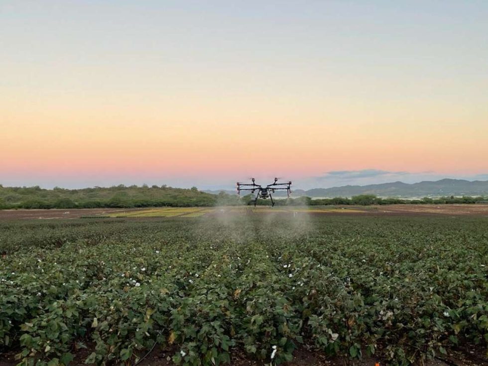 Will Agriculture Be Sustainable or Not? | PRABIA