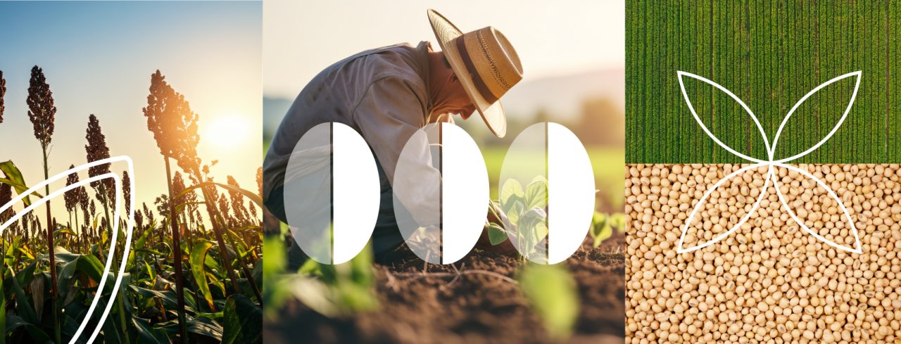 PRABIA | Puerto Rico Agricultural Biotechnology Industry Association