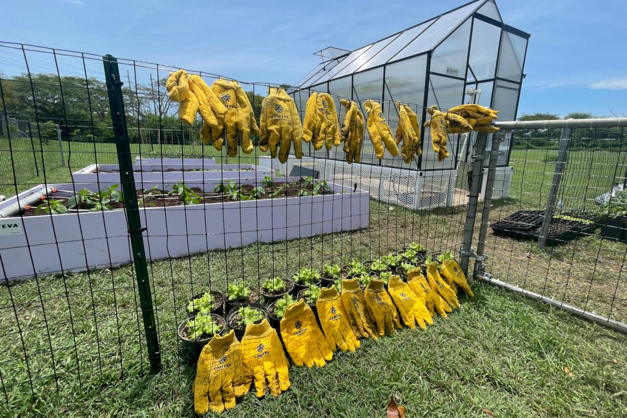 PRABIA | Puerto Rico Agricultural Biotechnology Industry Association